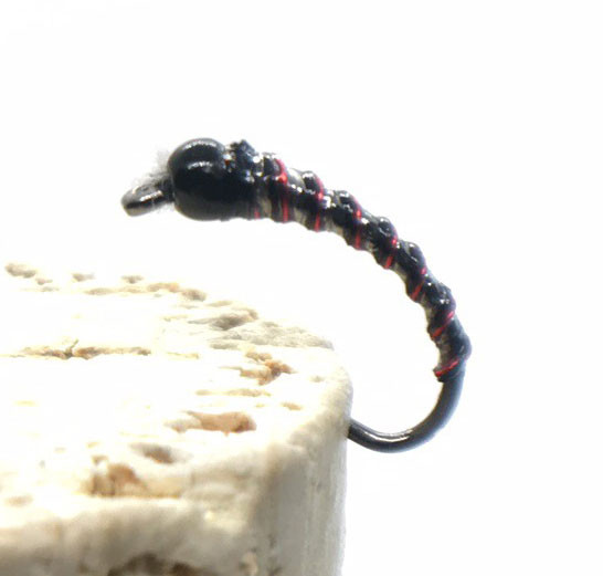 ASB Chironomid Pupa