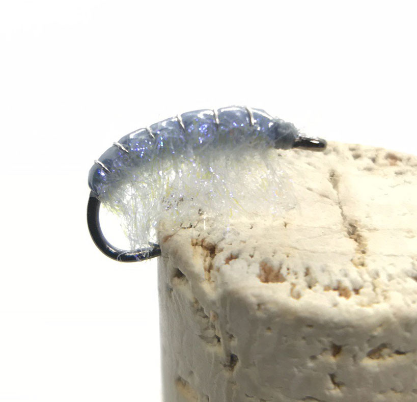 Blue Molting Scud