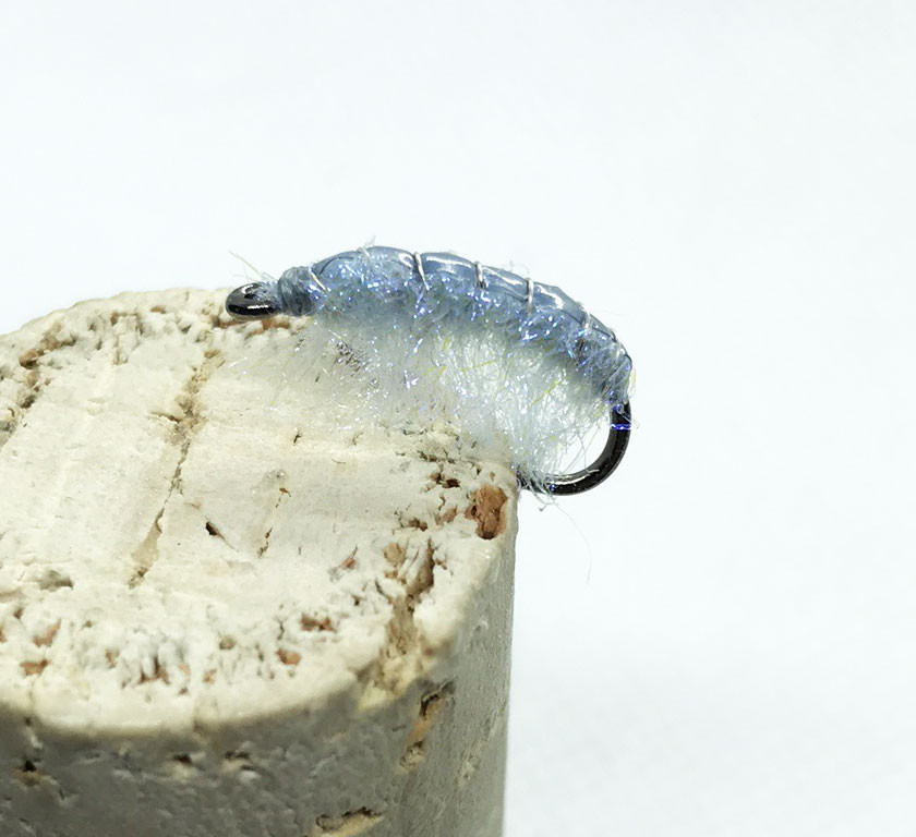 Blue Molting Scud