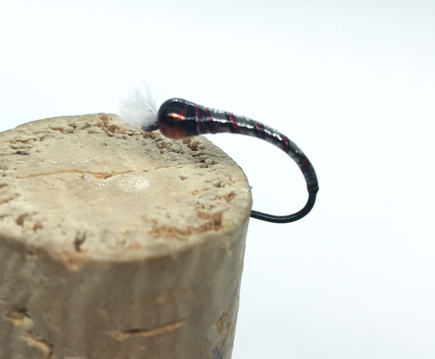 Black Berry ASB Chironomid Pupa