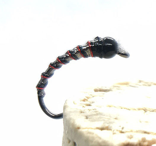 ASB Chironomid Pupa