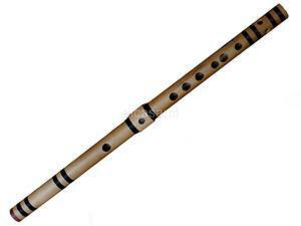 Chinese bamboo flute - Dizi in D - Ramos - Native Flute Store