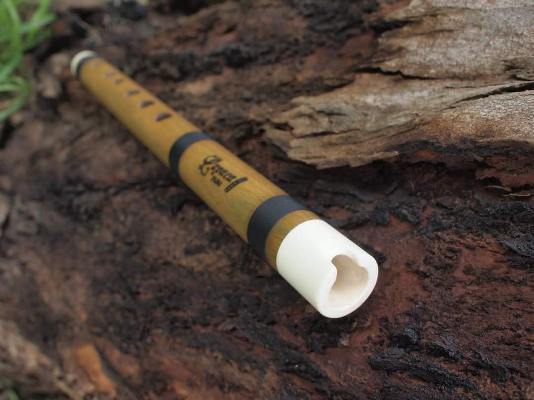 The Quena: A Journey Through Andean Musical Tradition - Native Flute Store