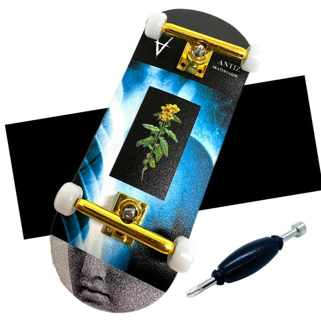 Professional fingerboard completes for only $16.95
