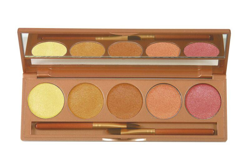 Colorescience concealer palette (mineral corrector palette) - Light to ...