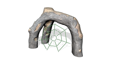 Web Climber | Natural Playground Climbers