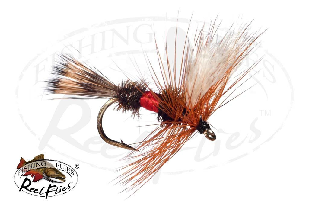 Royal Wulff Dry Fly - ReelFlies