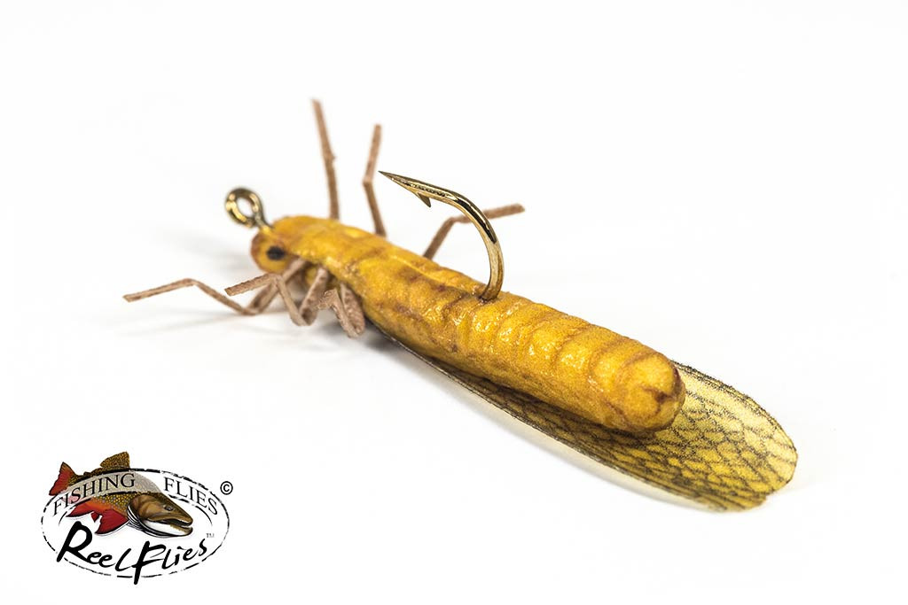 Realistic Golden Stonefly Dry Fly | ReelFlies