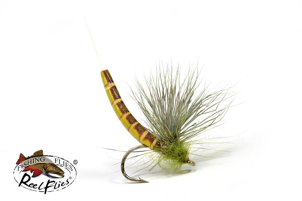 Realistic Western Green Drake Mayfly | ReelFlies
