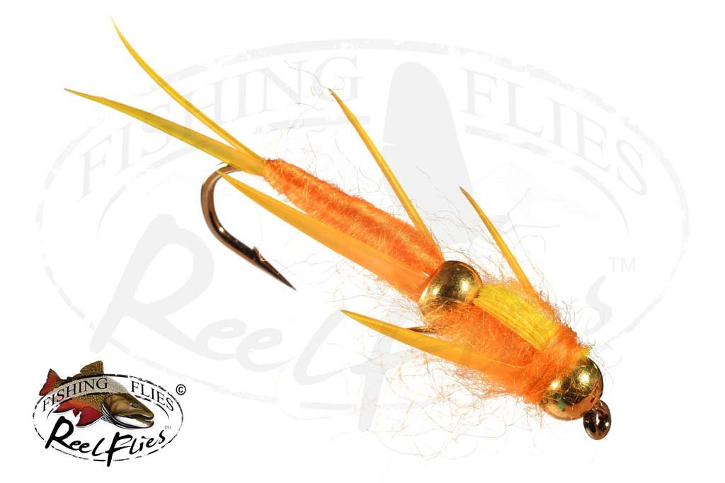 Double Bead Head Black Biot Stonefly