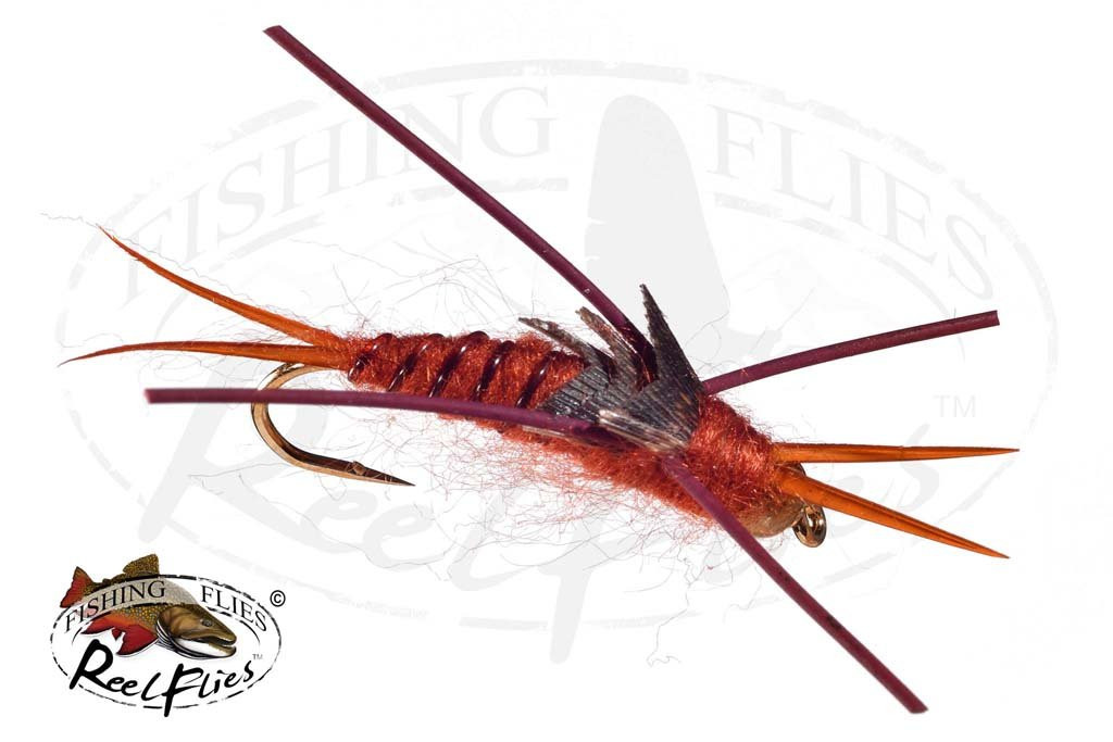 Stonefly Nymphs and Stone Flies - ReelFlies