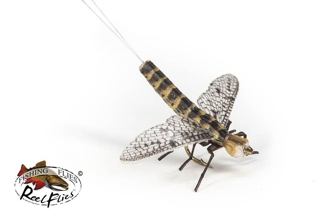 Realistic Easter Green Drake Mayfly Dry Fly | ReelFlies
