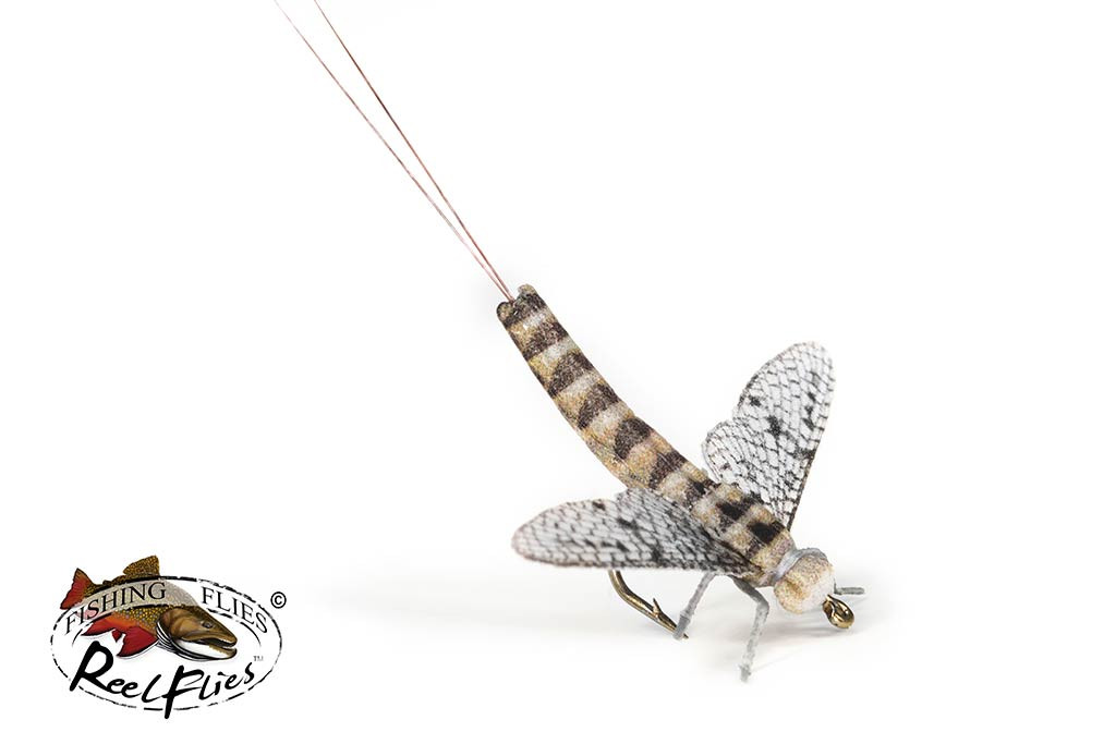 Realistic Ephemera Vulgata Spent Mayfly | ReelFlies