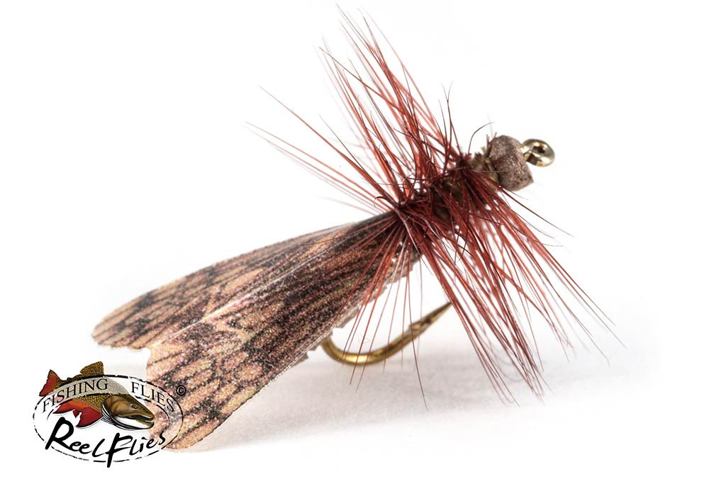 Realistic Caddis Fly Brown | ReelFlies