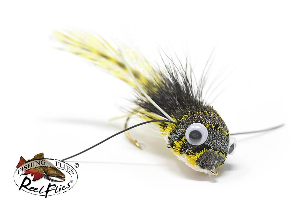 Bass Bugs and Poppers