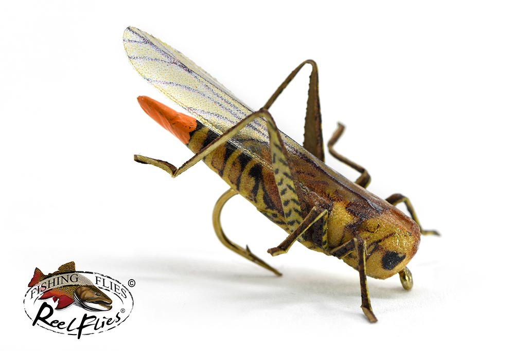 Realistic Hopper Fly Gold & Brown | ReelFlies