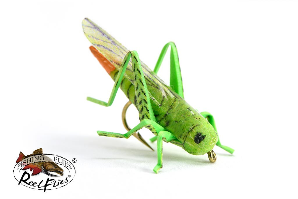 Realistic Flying Hot Butt Hopper Fly | ReelFlies - Master the Art of ...
