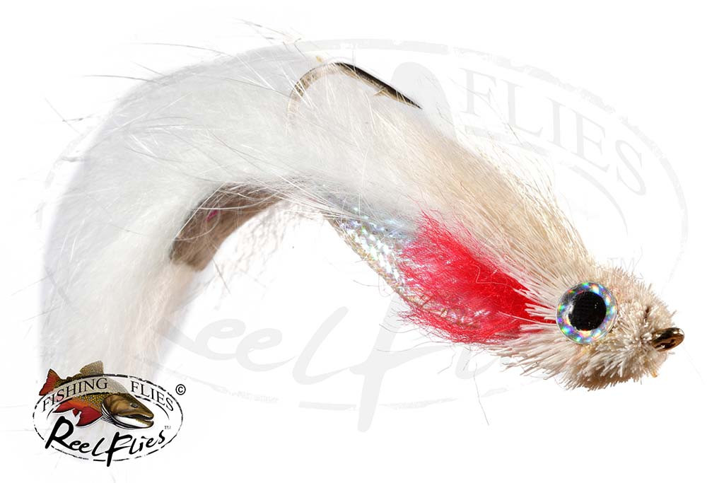 Ghost Minnow Saltwater Baitfish Reelflies