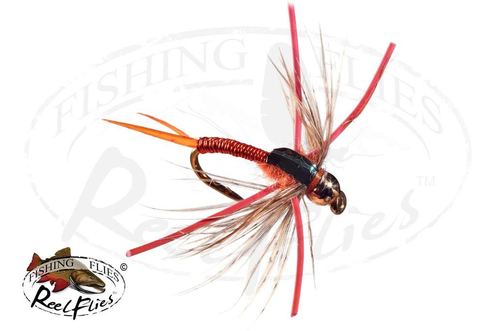 Steelhead Hunter Nymph Olive | ReelFlies