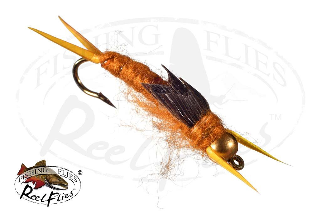 Stonefly Nymphs and Stone Flies - ReelFlies