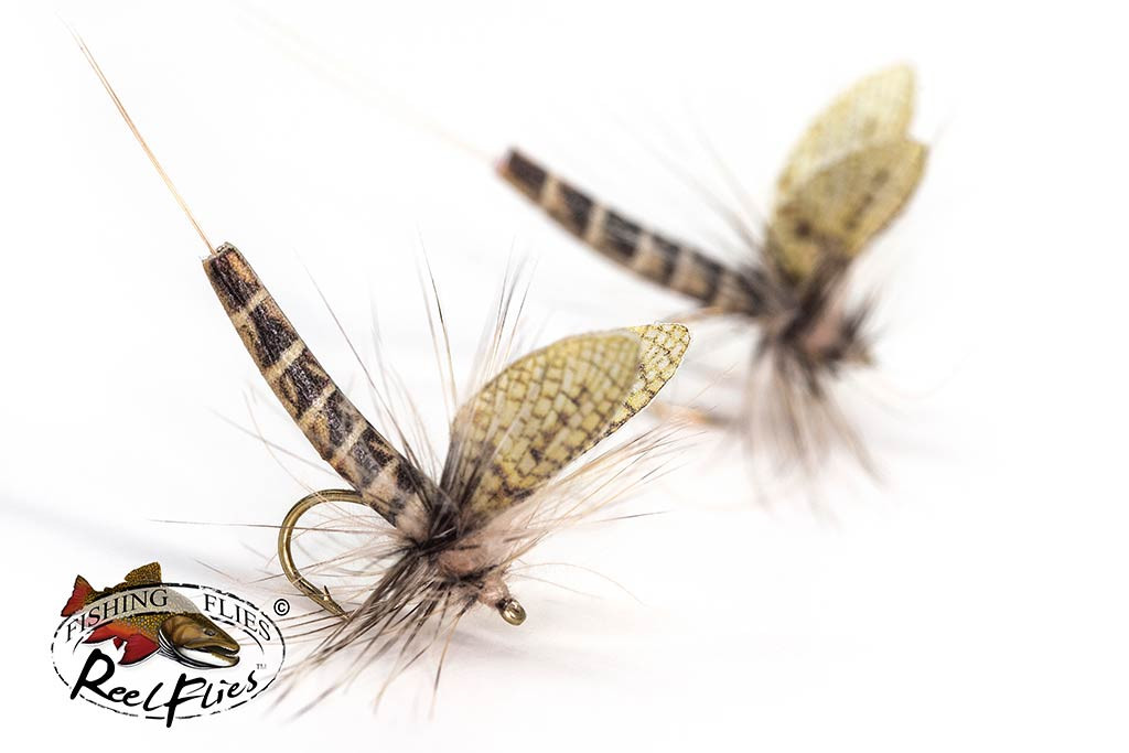 Realistic BWO Mayfly Dry Fly | ReelFlies