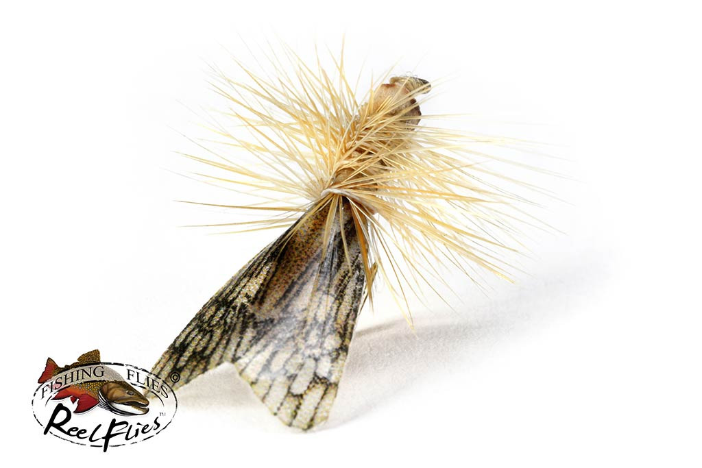 Realistic Caddis Fly Brown | ReelFlies