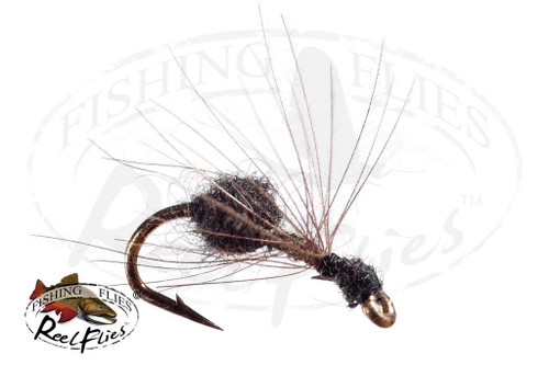 CDC Ant Cinnamon