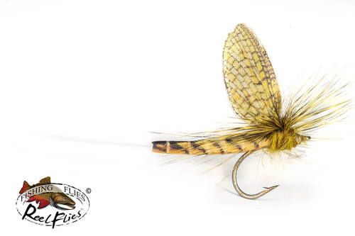 Realistic BWO Mayfly Dry Fly | ReelFlies