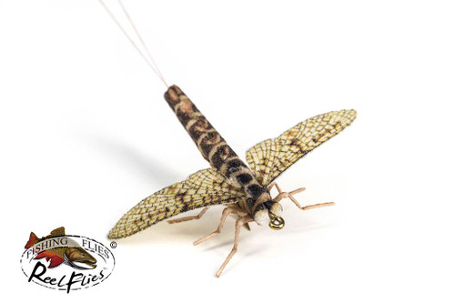 Realistic Sulphur Mayfly | ReelFlies