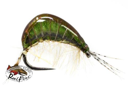 Ultra Realistic Gammarus flies from ReelFlies