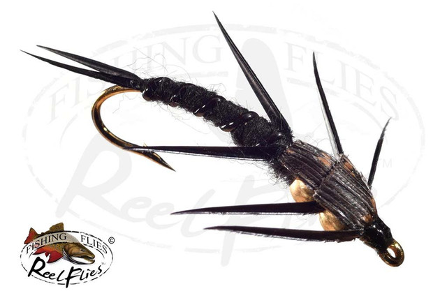 Double Bead Head Black Biot Stonefly