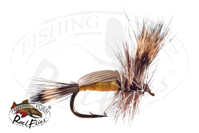Humpy Yellow
