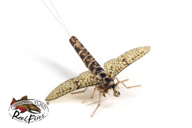 Realistic Red Quill Mayfly | ReelFlies