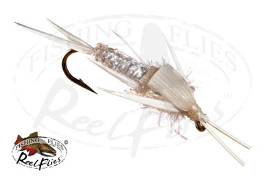 White Woven Stonefly