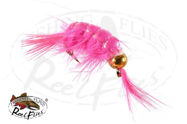 BH Flashback Scud Pink