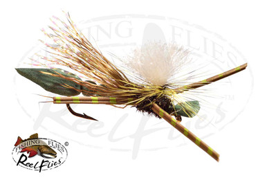 Reel X Factor Olive