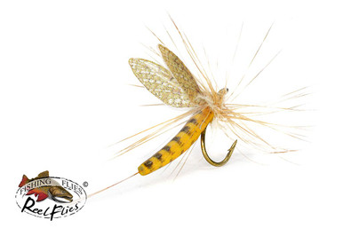 Realistic Sulphur Mayfly | ReelFlies
