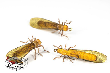 Realistic Golden Stonefly Dry Fly | ReelFlies