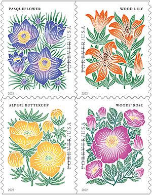Mountain Flora 2022 - Booklets of 100 stamps |Discounted Forever Stamps ...