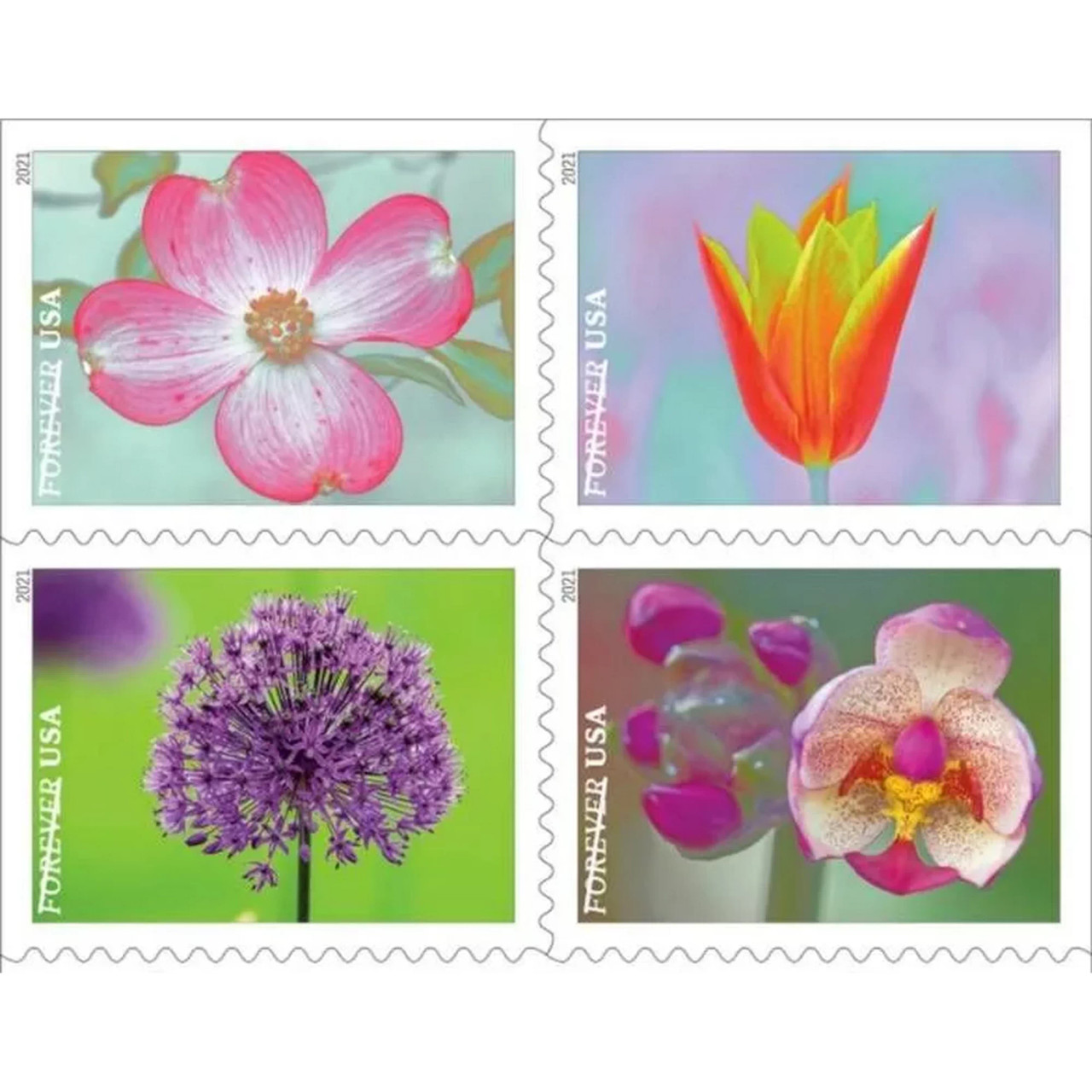 Wild Orchids 2020 - Booklets of 100 stamps |Discounted Forever Stamps ...