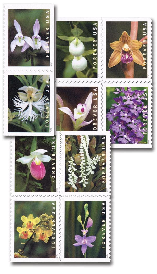 Wild Orchids 2020 - Booklets of 100 stamps |Discounted Forever Stamps ...