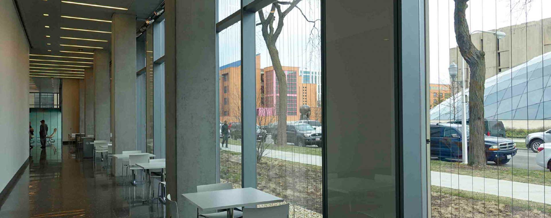 Acopian BirdSavers — Prevent birds from flying into windows.