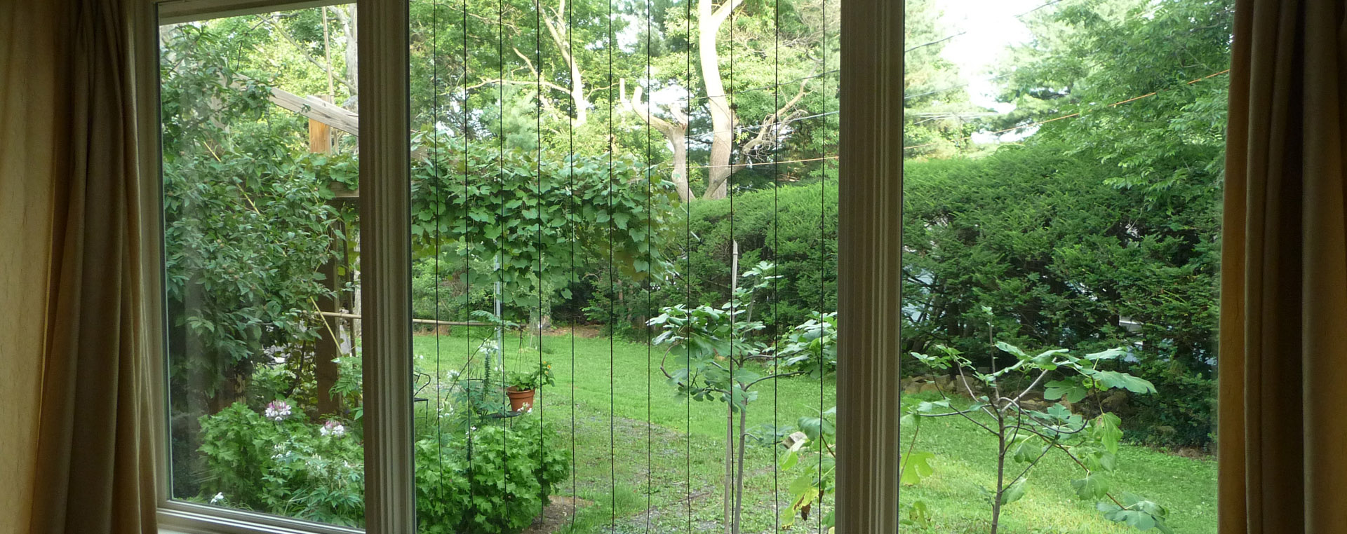 Acopian BirdSavers — Prevent birds from flying into windows.