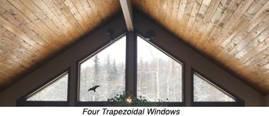 Acopian BirdSavers for Trapezoid Windows