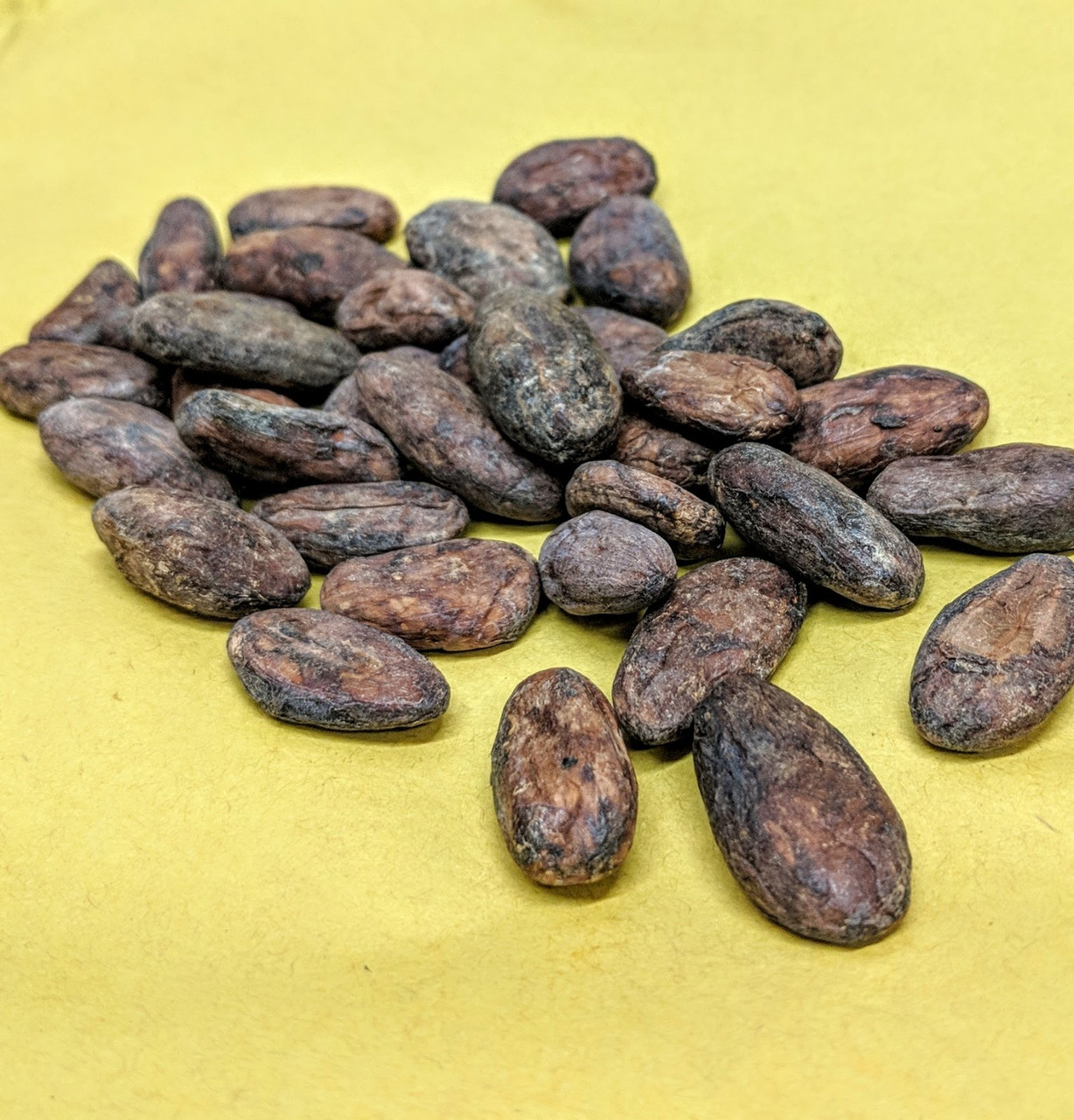 Peruvian Cheni Cacao Beans - CocoaSupply