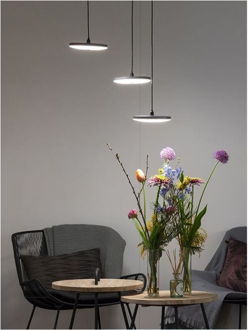 In-Lite Disc Pendant