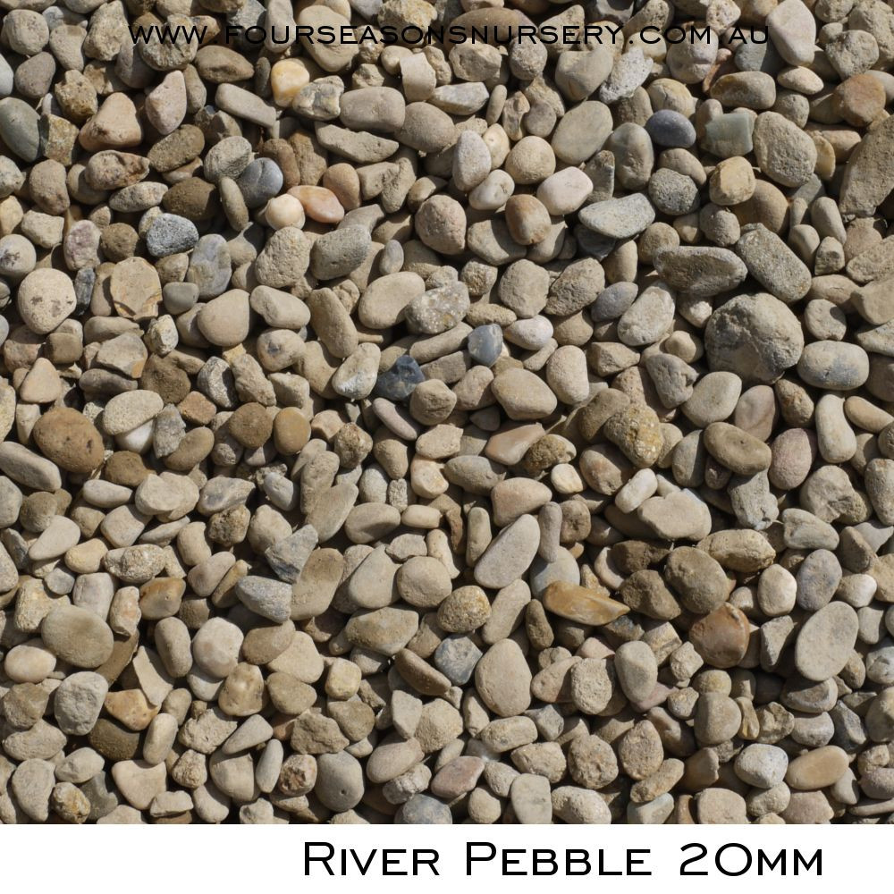 Round River Pebble 40mm - Four Seasons Nursery