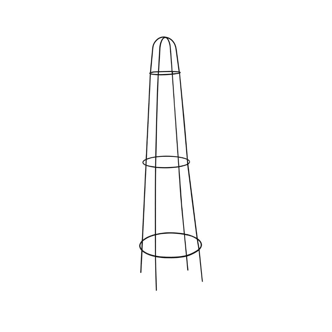 Plant Trainer Cone - Four Seasons Nursery