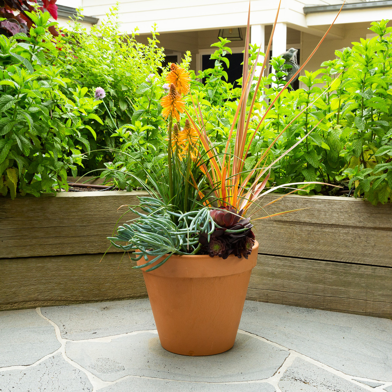 Terracotta Standard Cone - Four Seasons Nursery