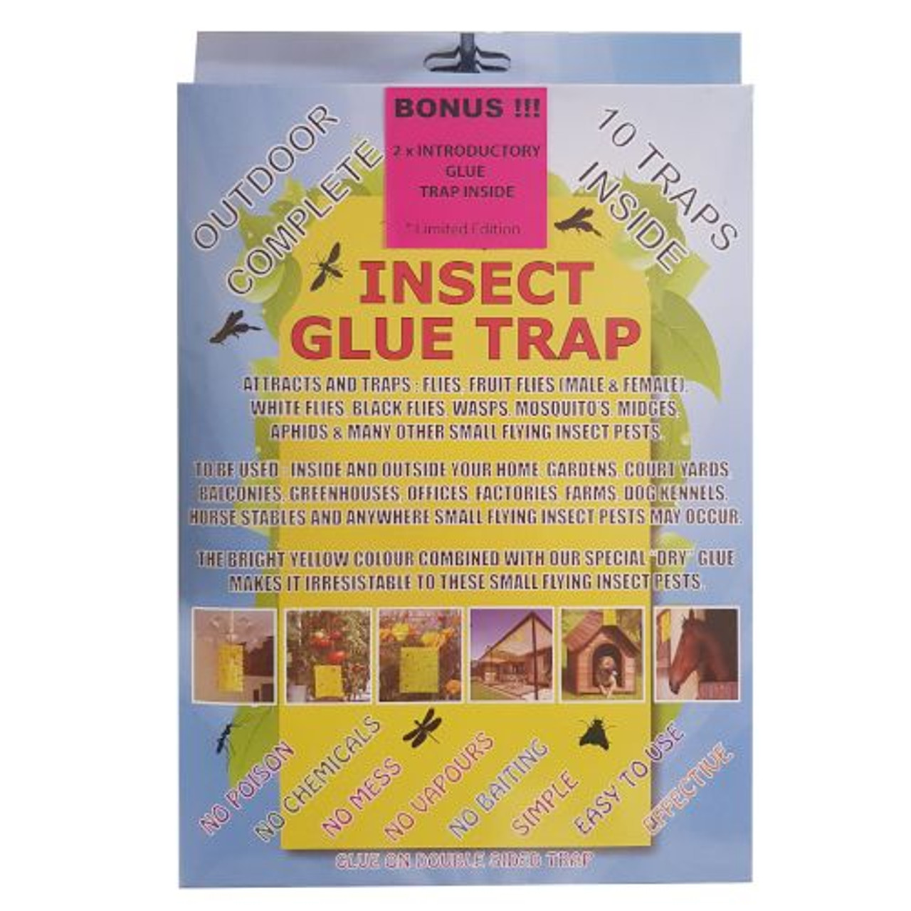Insect Glue Trap Pack Of 10 Four Seasons Nursery